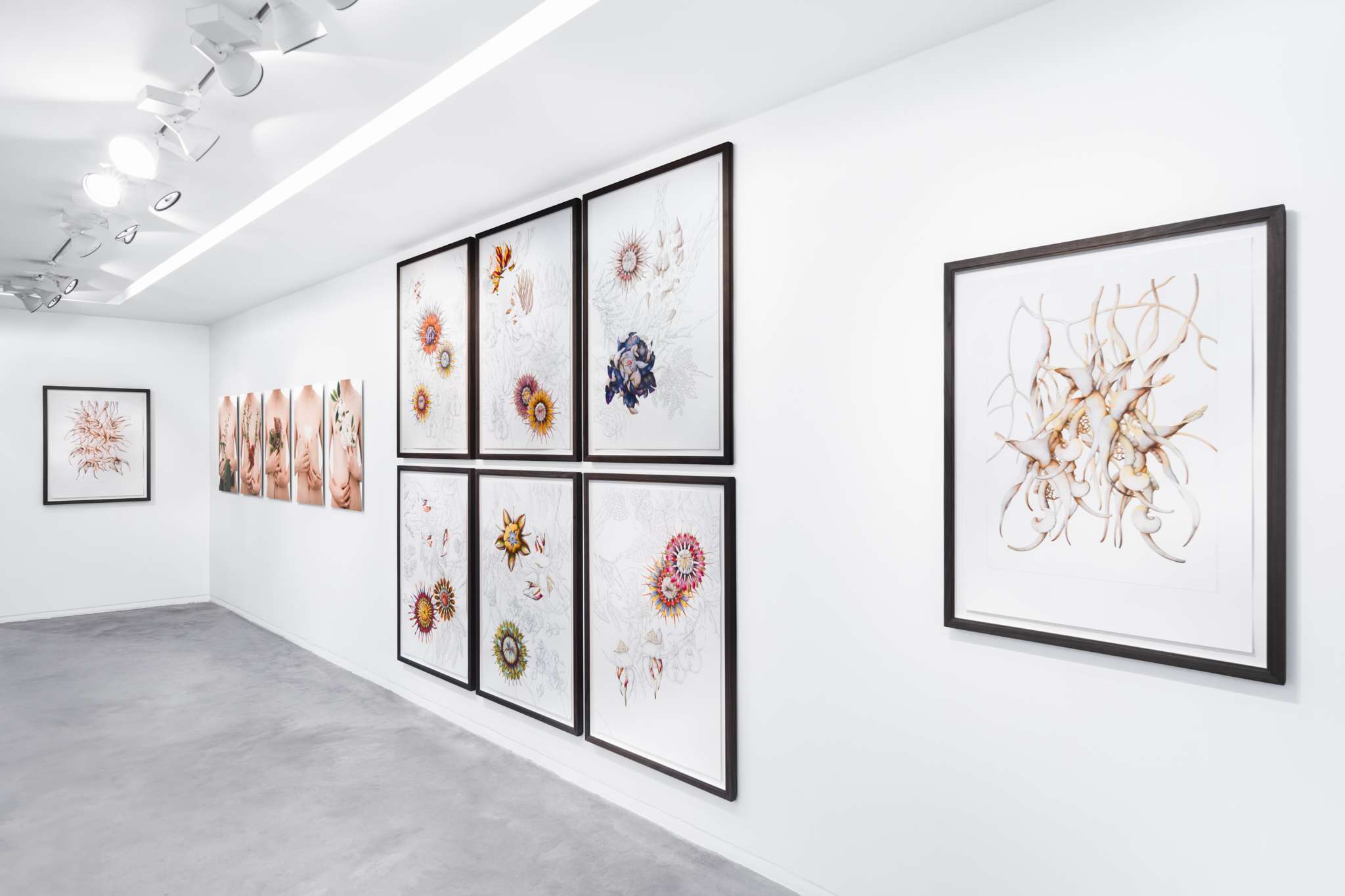 The Nymphs Are Departed – Miron Schmückle – Galerie Eric Mouchet