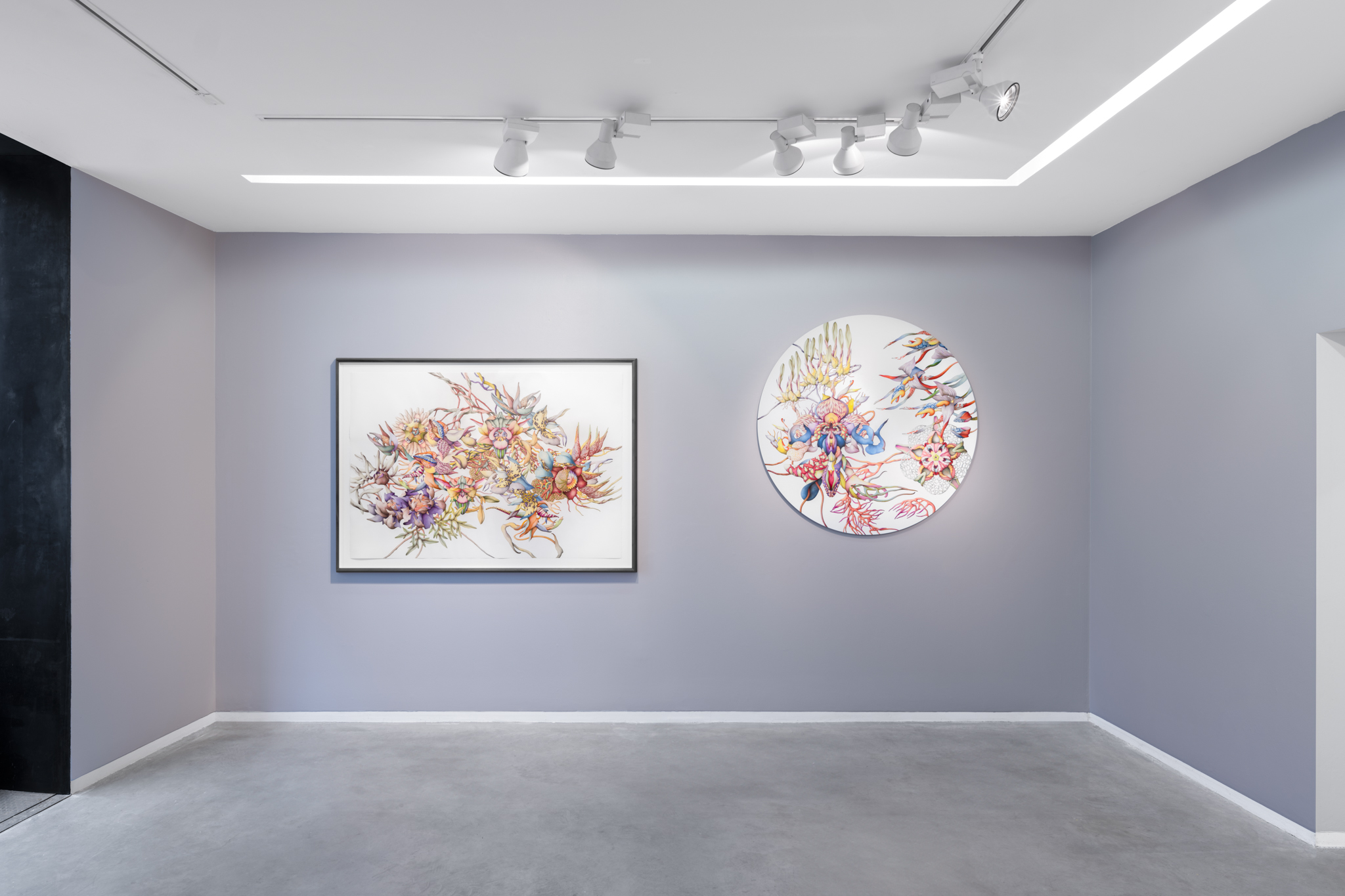 The Nymphs Are Departed – Miron Schmückle – Galerie Eric Mouchet